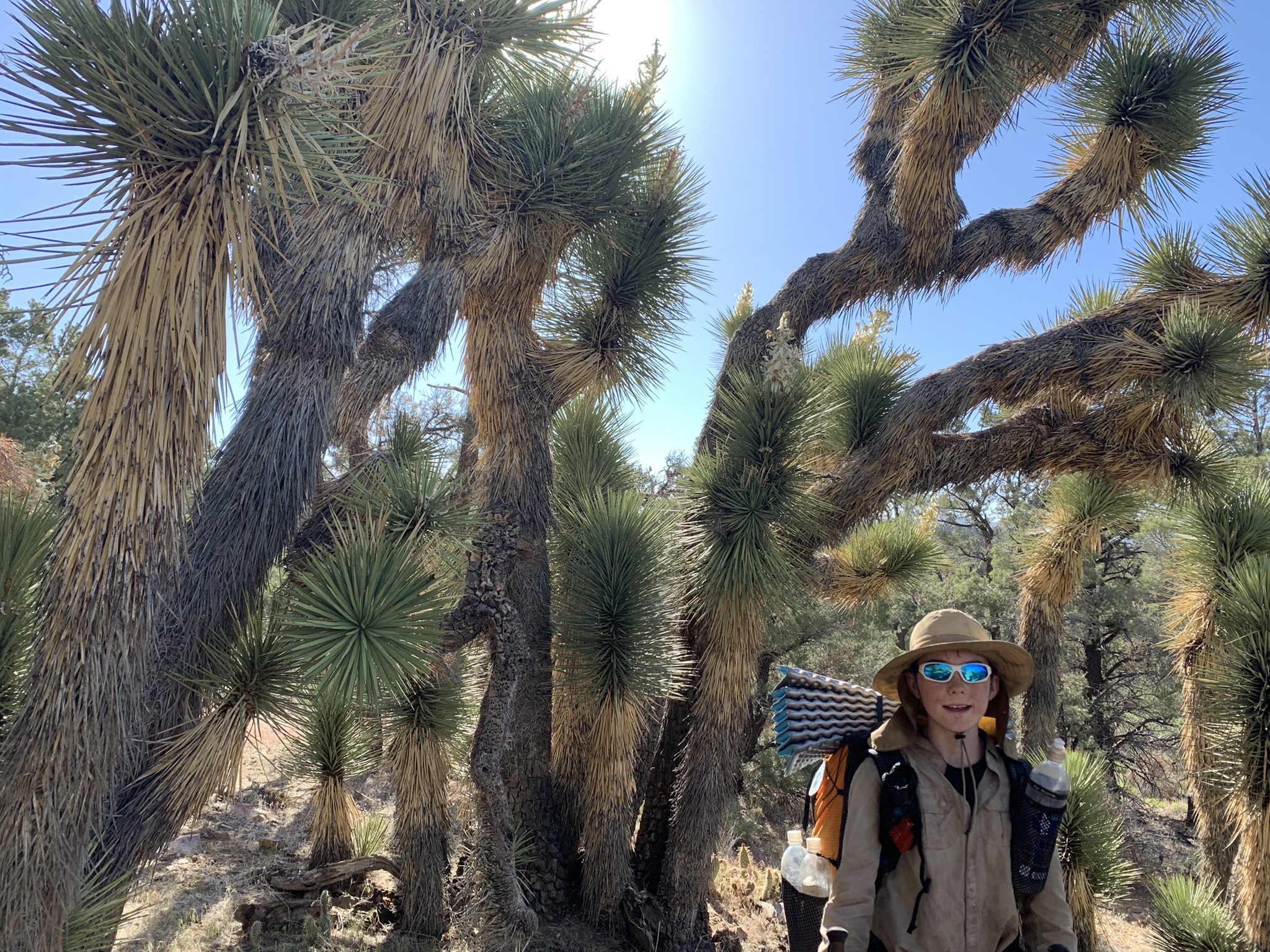 Gaining Elevation and Miles - Magnus Hikes